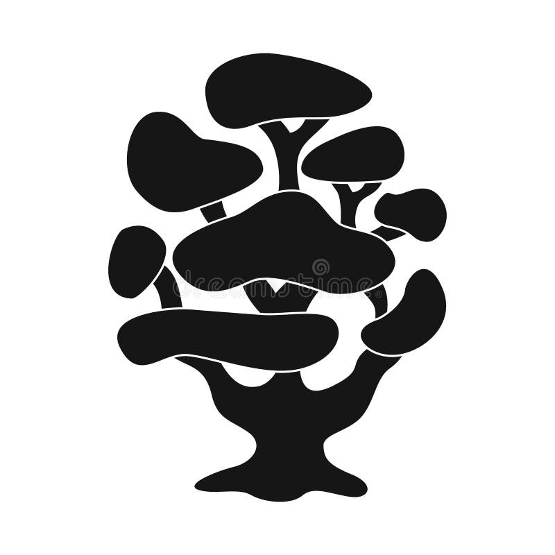 Isolated Object Of Tree And Nature Icon Collection Of Tree And Crown