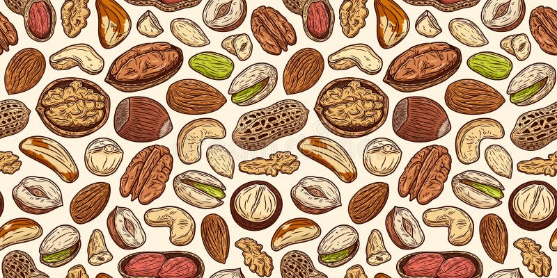 Nutshells Illustration Stock Illustrations – 156 Nutshells Illustration ...