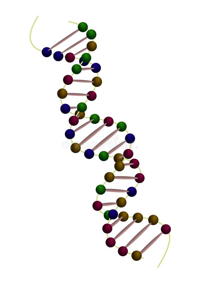 Dna chains stock illustration. Illustration of life, biotechnology ...