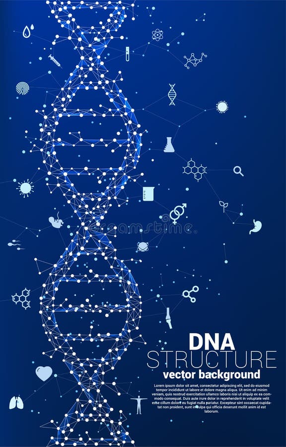 Vector DNA Genetic Structure from Dot Connect Line Polygon with Icon ...