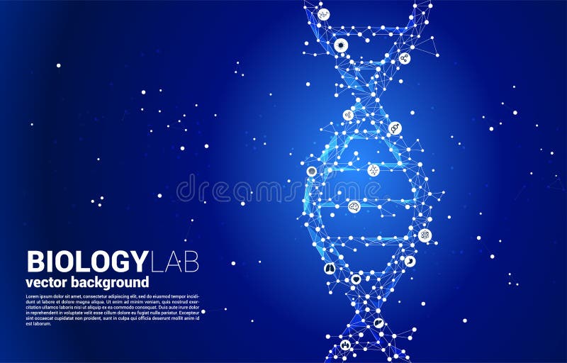 Vector DNA Genetic Structure from Dot Connect Line Polygon with Icon ...