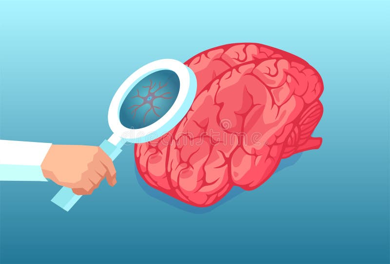 Vector of a Doctor Hand with Magnifying Glass Analyzing Human Brain and ...