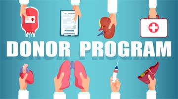 Transplantation Infographic Stock Illustrations – 947 Transplantation ...