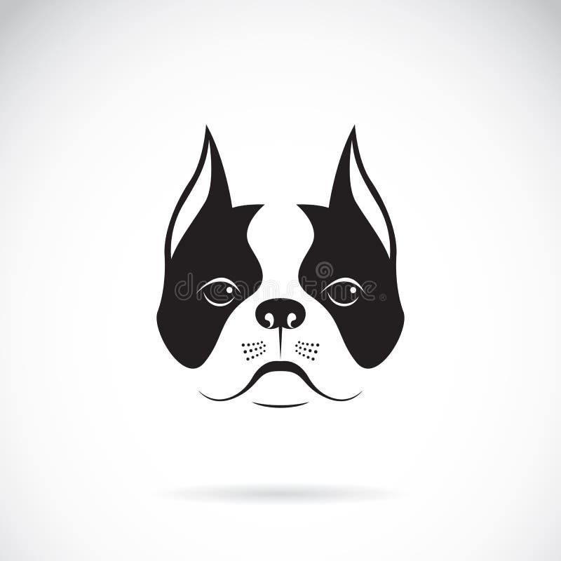 Vector of Bulldog on White Background. Pet. Animals. Dog Logo or Icon ...