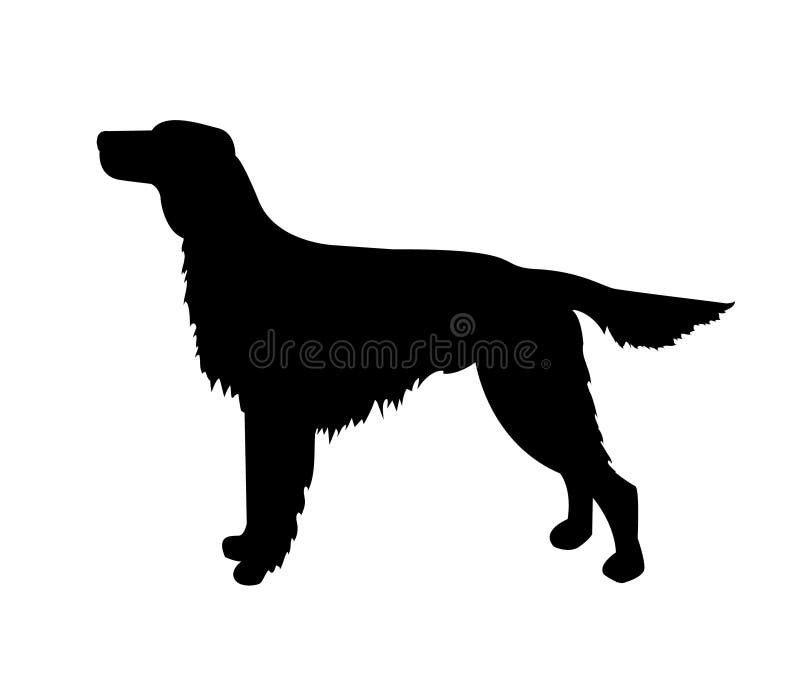 Vector Dog Silhouette, Irish Setter Stock Vector - Illustration of ...
