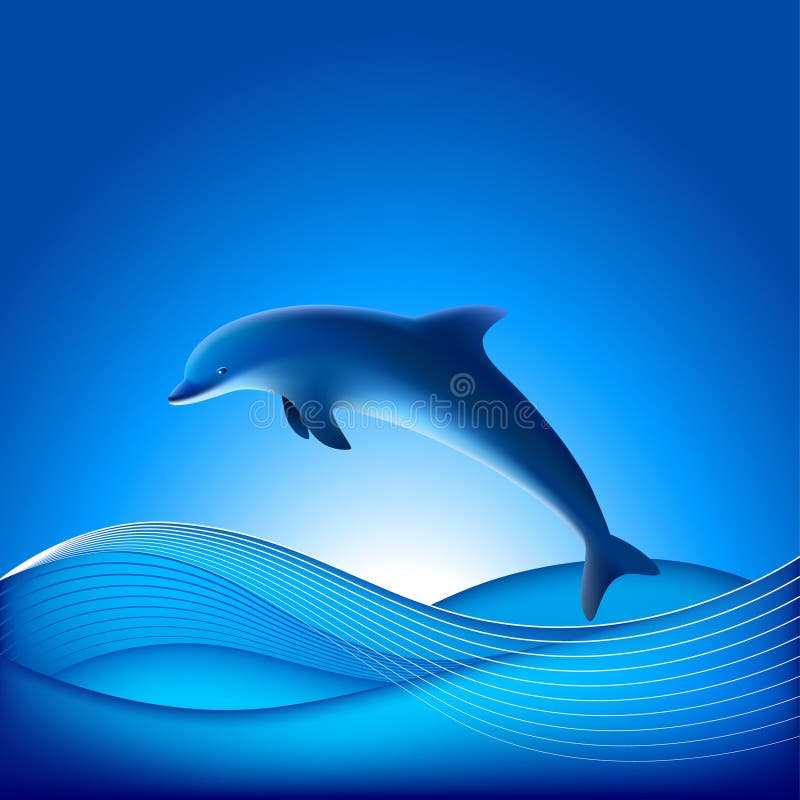 Vector Dolphin vector illustratie. Illustration of zwemmen - 4991878