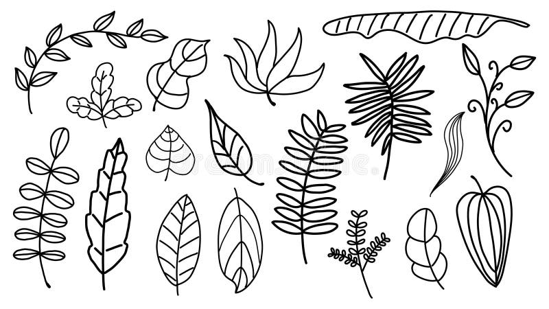 Vector Doodle Hand Drawn Leaves Set Stock Vector - Illustration of ...
