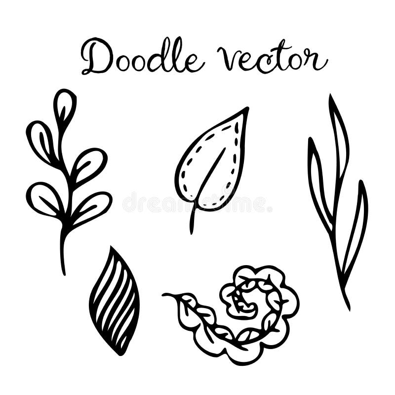 Vector Doodle Leaves Set. Black Silhouette Line Illustration Stock ...