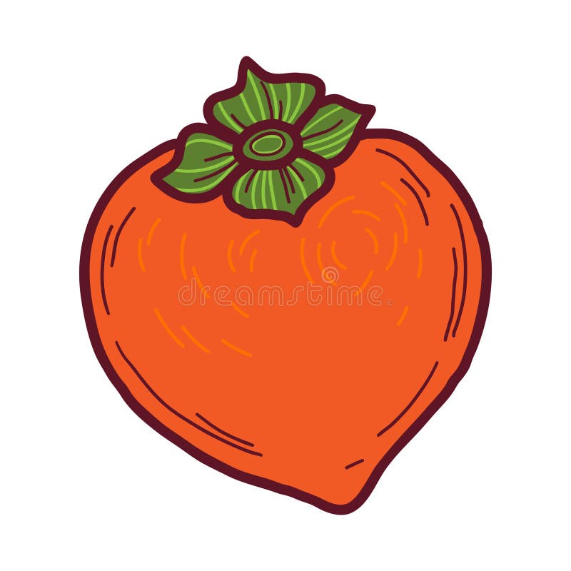 Doodle Persimmon Stock Illustrations – 678 Doodle Persimmon Stock ...