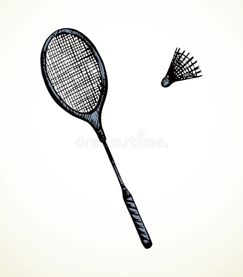 Vector Drawing. Badminton Racket and Shuttlecock Stock Vector ...