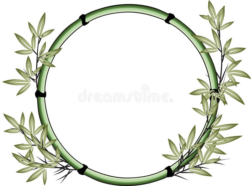 Vector Drawing Bamboo with Circle Border Stock Vector - Illustration of ... Vector Drawing Bamboo with Circle Border Stock Vector - Illustration of ...