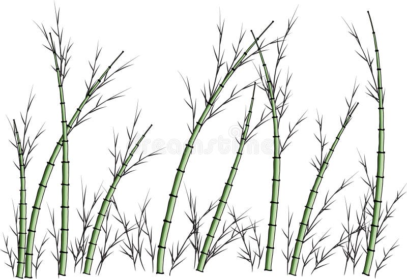 Vector drawing bamboo stock illustration. Illustration of bamboo - 76008767