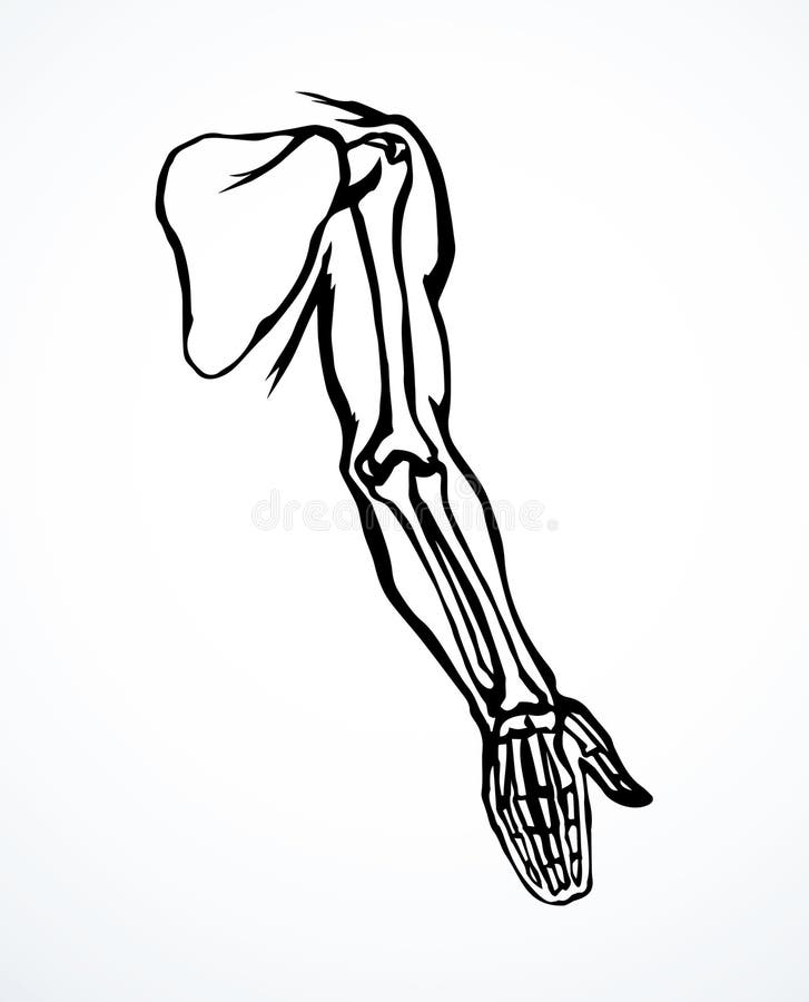 Medic Education Graphic Stock Illustrations – 1,069 Medic Education ...