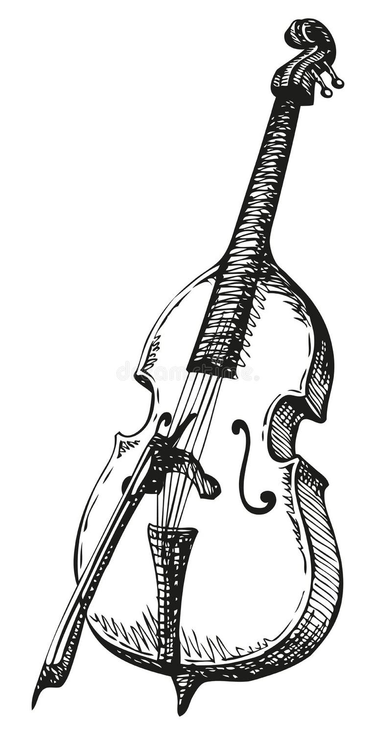 Double Bass Cartoon Stock Illustrations 763 Double Bass Cartoon Stock Illustrations Vectors