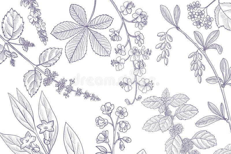 Template Phytotherapy Stock Illustrations – 255 Template Phytotherapy ...