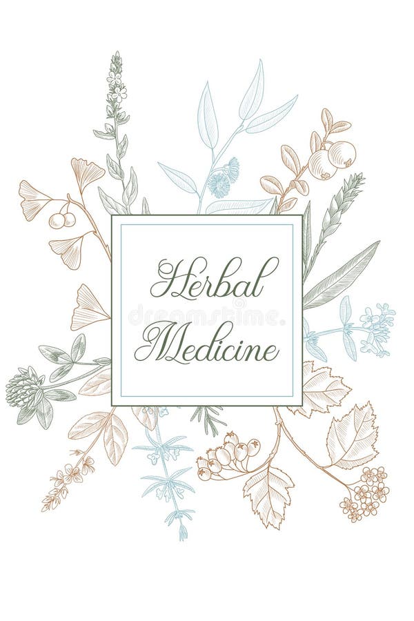Template Phytotherapy Stock Illustrations – 255 Template Phytotherapy ...