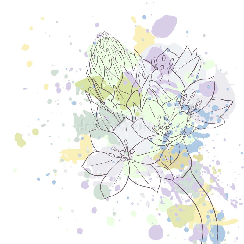 Vector drawing flower stock vector. Illustration of drawing - 107423672