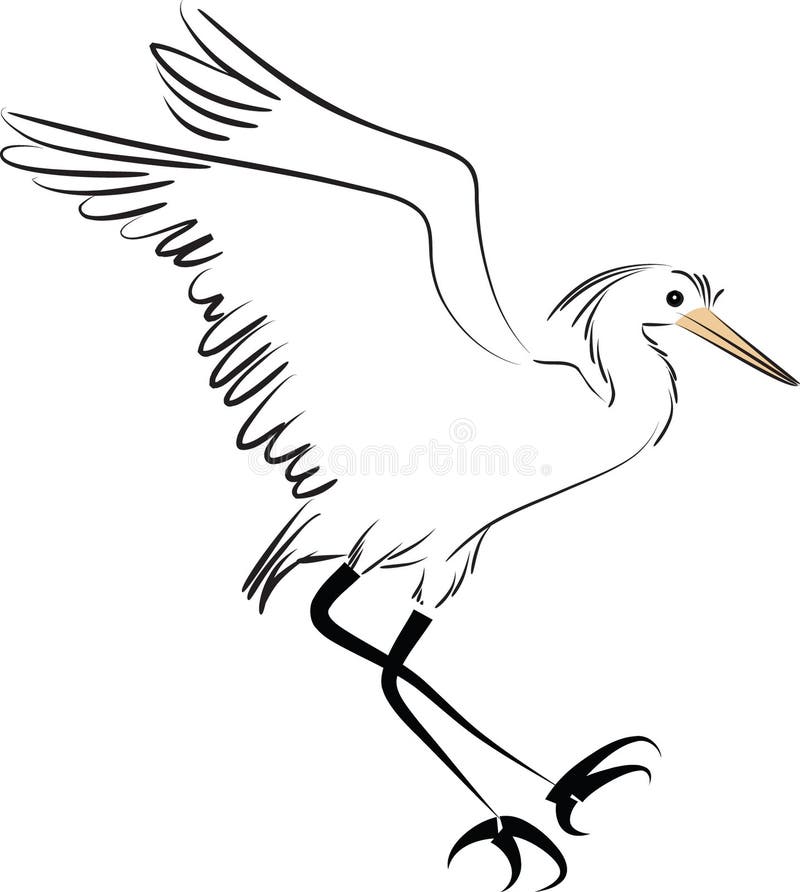 Vector drawing heron stock vector. Illustration of organism - 76112317