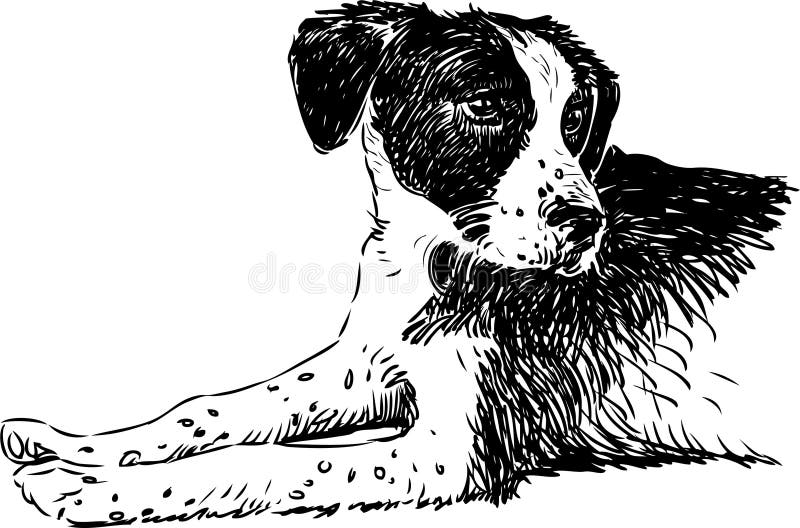 Cute dog stock vector. Illustration of sketch, lying - 29969285