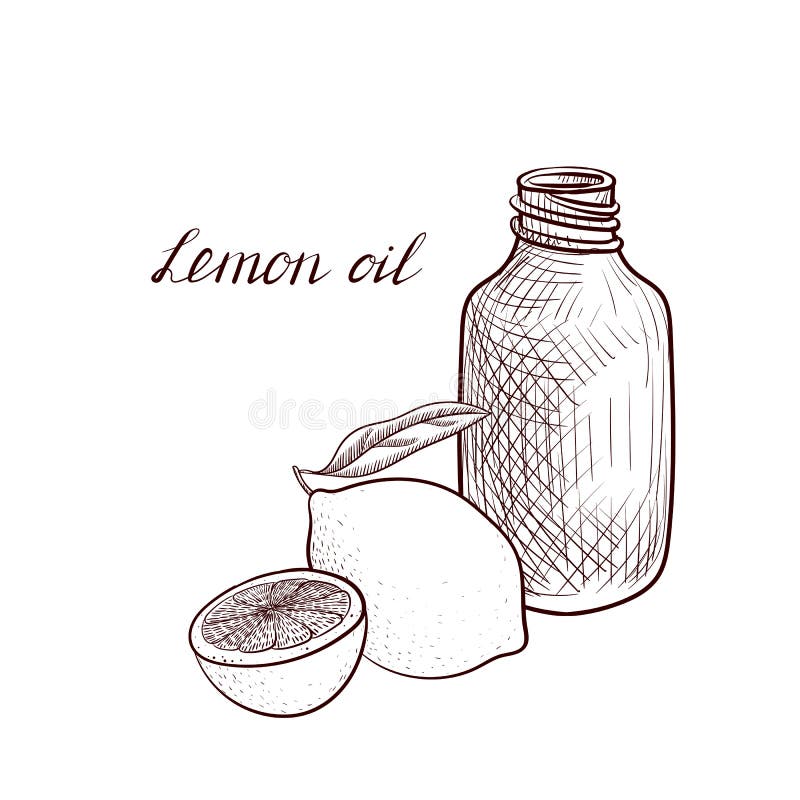 Vector drawing lemon oil stock vector. Illustration of beauty - 159918611