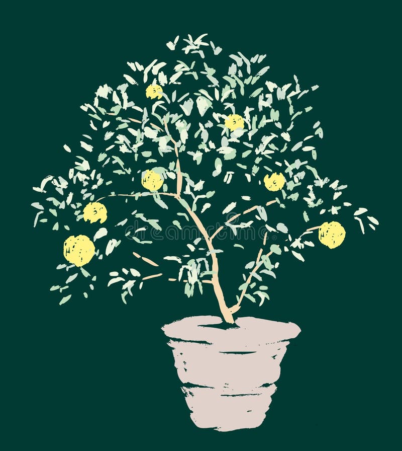 Lemon tree stock vector. Illustration of flora, sketch - 50979260