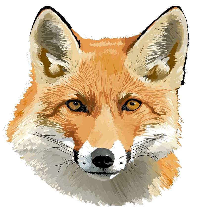 Red Fox Head Stock Illustrations – 5,071 Red Fox Head Stock ...
