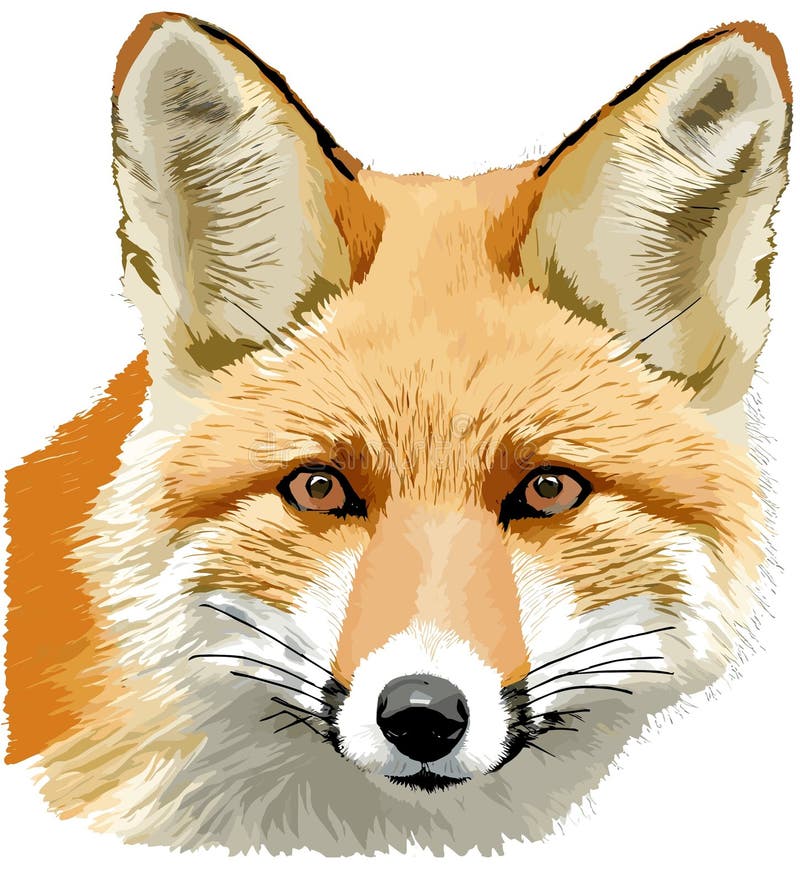 Vector Drawing of a Red Fox Head. Logotype. Sticker. Mascot Stock ...