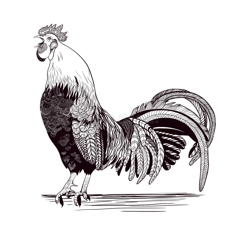 Roosters Birds Stock Illustrations – 651 Roosters Birds Stock ...