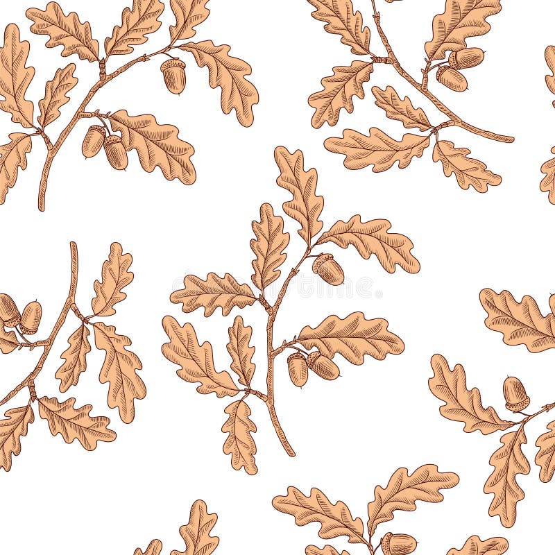 Vector Drawing Seamless Pattern with Branch of Oak Tree Stock Vector ...