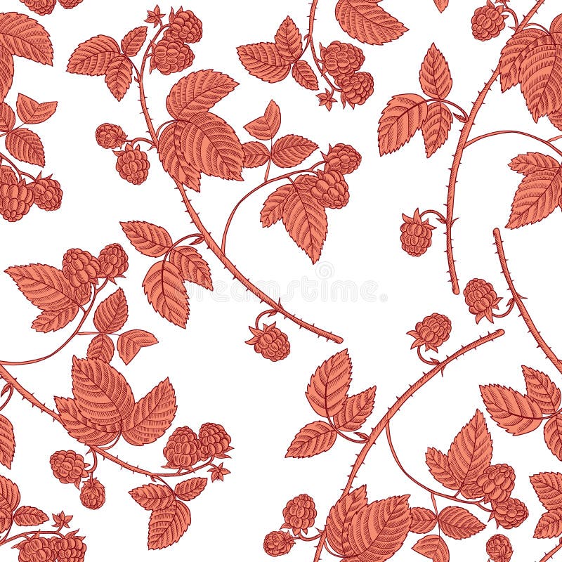 Vector Drawing Seamless Pattern with Branch of Raspberry Stock Vector ...