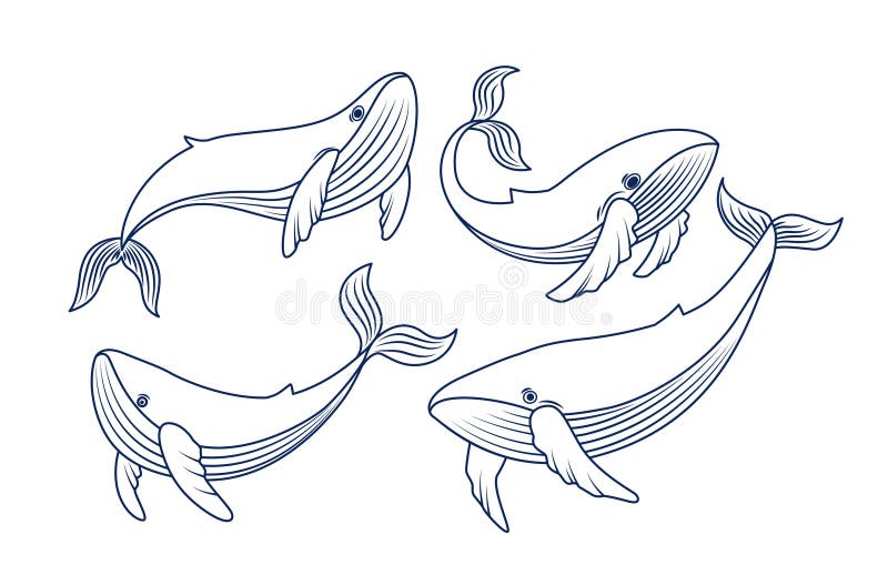 Vector Drawing Set with Whales Stock Vector - Illustration of aquatic ...