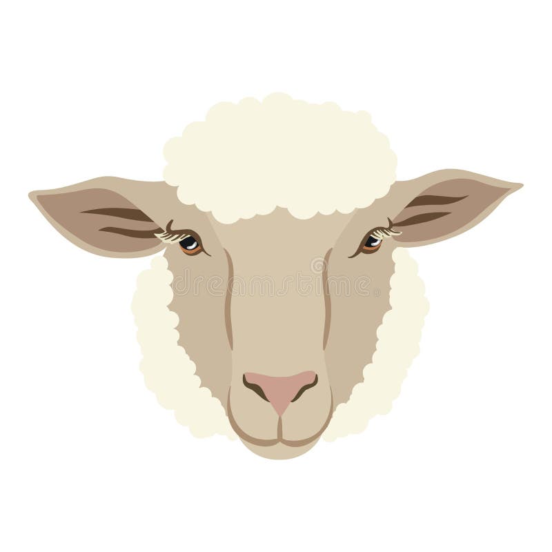 Vector Drawing of the Sheep`s Head Full Face Stock Vector ...