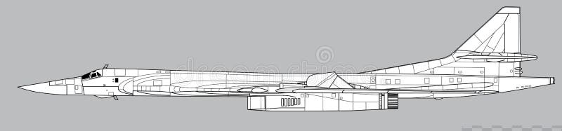 Tupolev Tu-160. Vector Drawing of Strategic Bomber. Stock Vector ...
