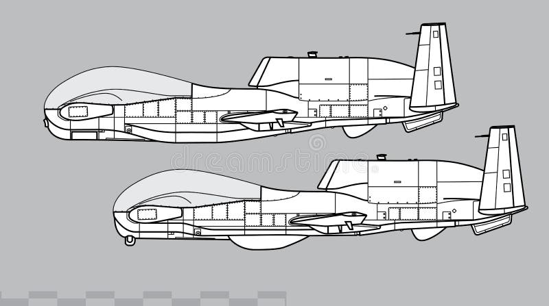 Northrop Grumman RQ-4 Global Hawk. Vector Drawing of Strategic ...