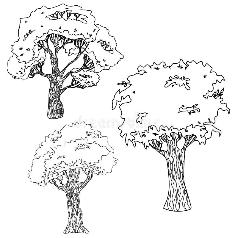 Vector Drawing of a Tree with a Crown and a Trunk. Stock Illustration ...