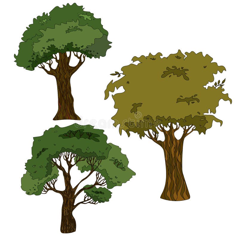 Vector Drawing of a Tree with a Crown and a Trunk. Stock Illustration ...