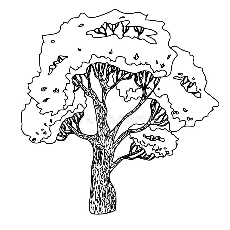 Vector Drawing of a Tree with a Crown and a Trunk. Stock Illustration ...