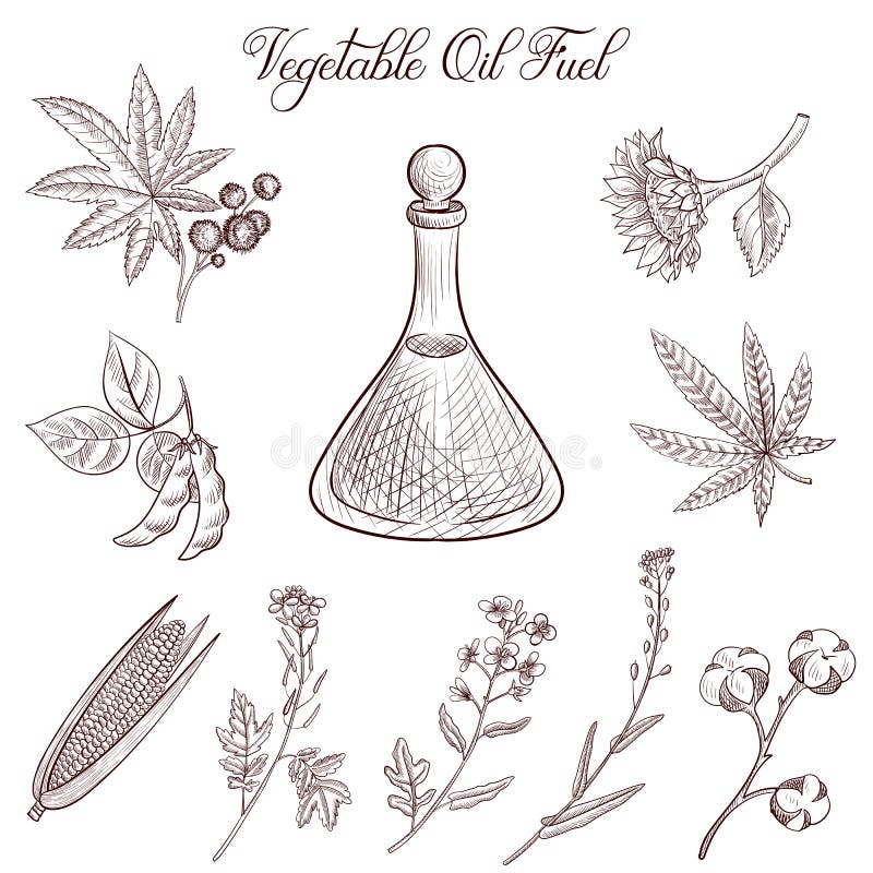 Vector Drawing Vegetable Oil Fuel Stock Vector - Illustration of ...