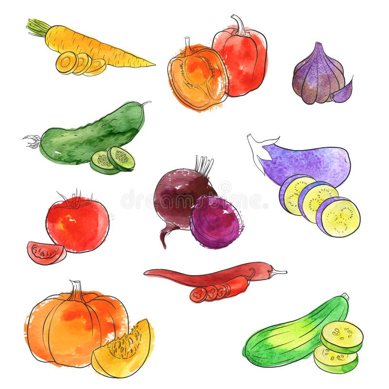 Vector drawing vegetables stock vector. Illustration of aubergine ...