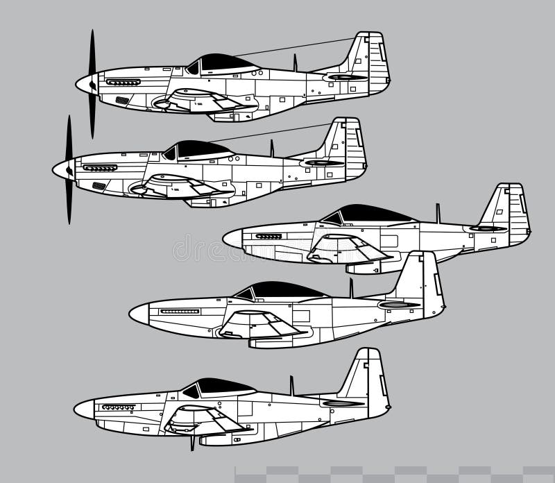 North American P-51 Mustang. Vector Drawing of World War 2 Fighter ...
