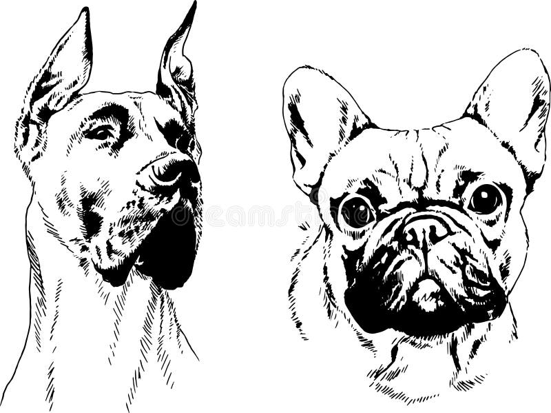 Profile Racks Stock Illustrations – 88 Profile Racks Stock ...