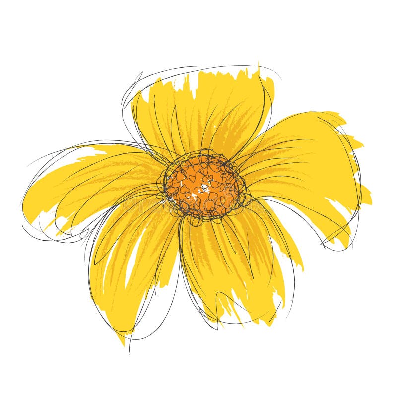 Adey Abeba Ethiopian Flower Stock Vector - Illustration of plant ...