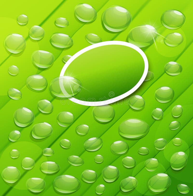Vector Drops of Dew on a Green Background Stock Vector - Illustration ...