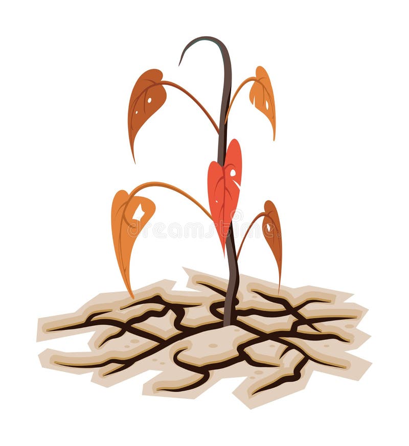 81+ Dying plant Free Stock Photos - StockFreeImages