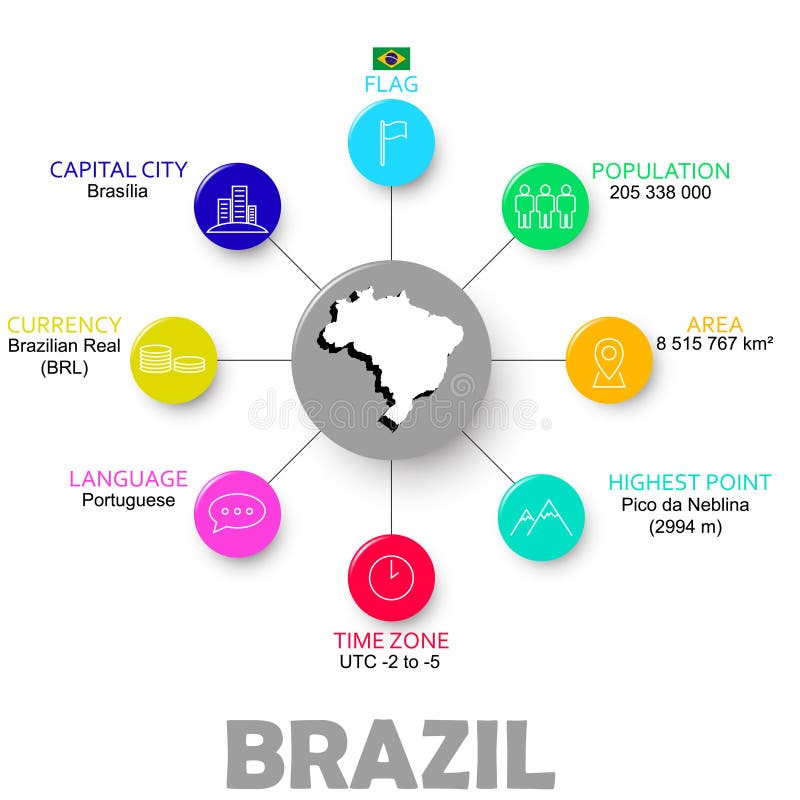 Vector Easy Infographic State Brazil Stock Illustration - Illustration ...