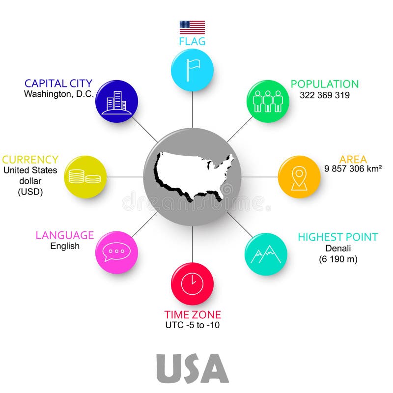 Vector Easy Infographic State Usa Stock Vector - Illustration of chart ...