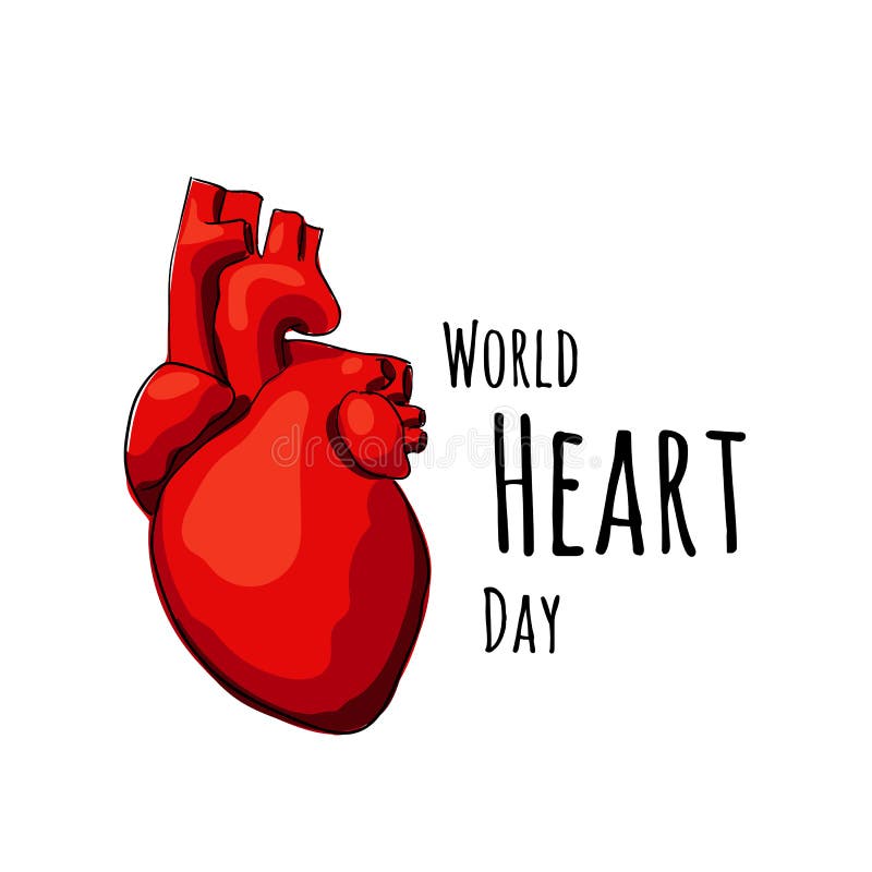 Vector Echt Hart Op Witte Achtergronden Vector Illustratie ...