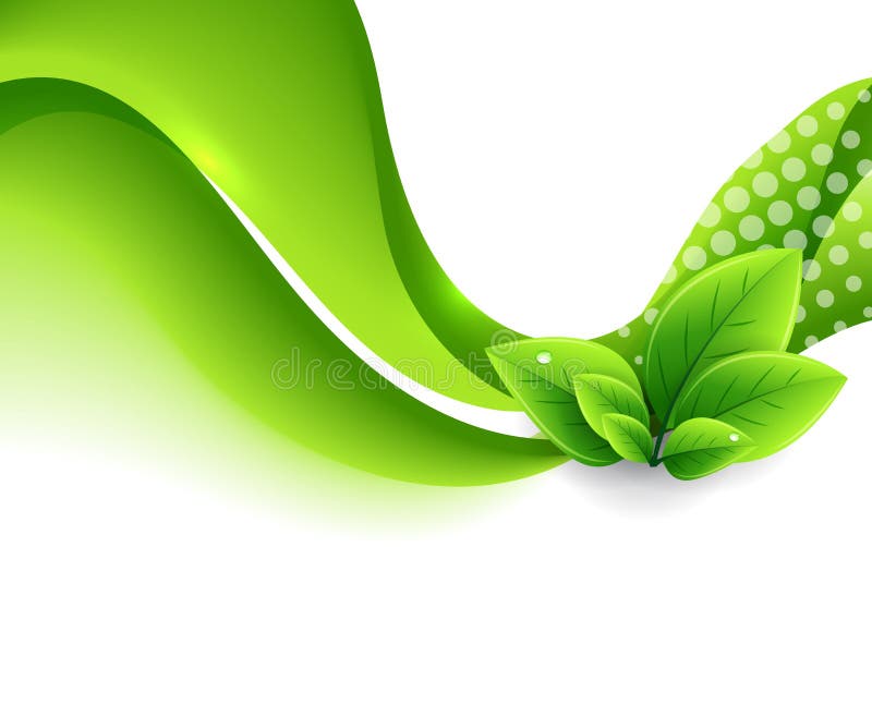 Vector Eco Leaves and Green Wave Stock Vector - Illustration of floral ...