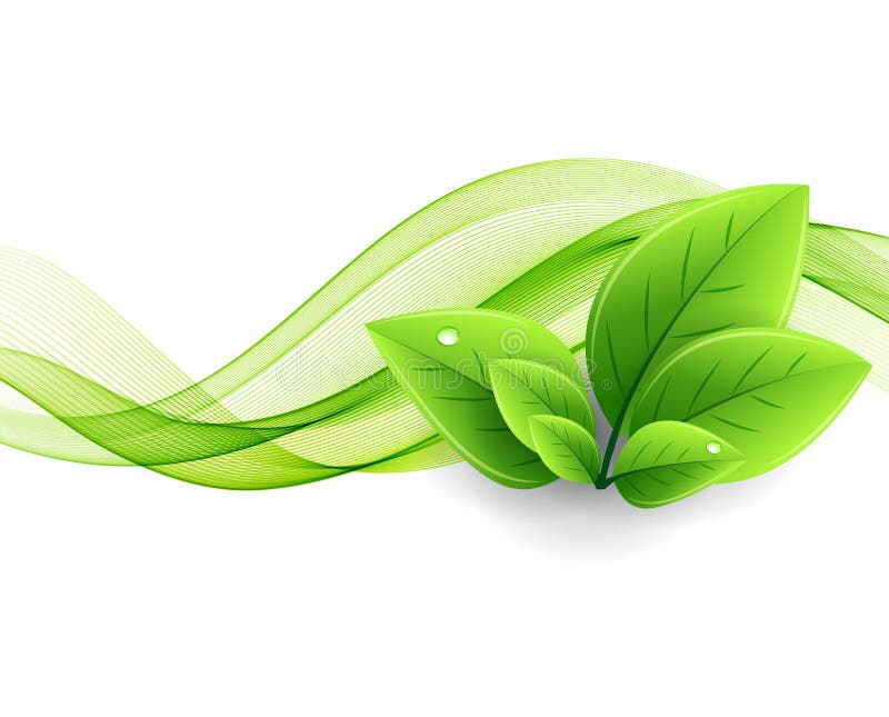 Vector Eco Leaves and Green Wave Stock Vector - Illustration of curve ...