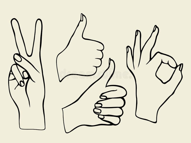Vector El Conjunto De Manos Ilustración del Vector - Ilustración de ...